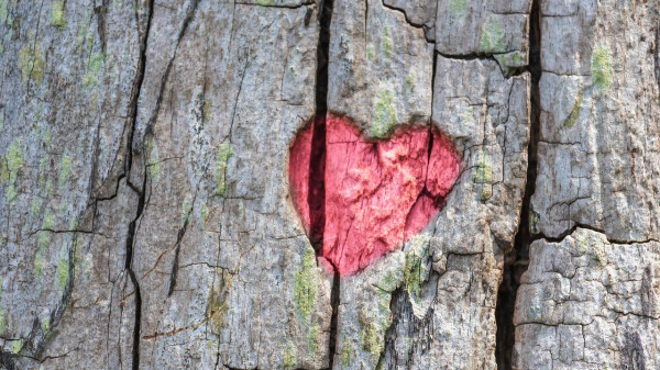 Fonds Finanz - Versicherungsbote.de